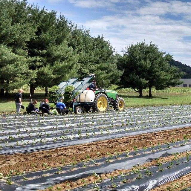 Off Season – Stacy Family Farm