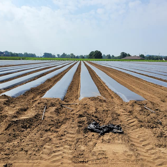 Off Season – Stacy Family Farm