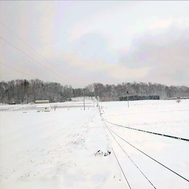 Off Season – Stacy Family Farm