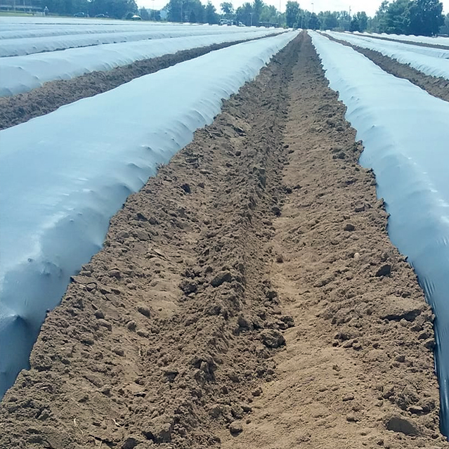 Off Season – Stacy Family Farm